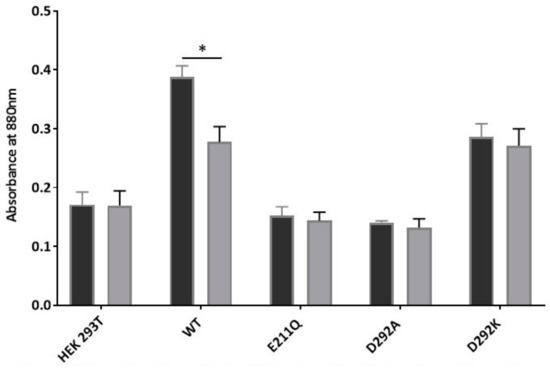 Disruption of the Unique ABCG-Family NBD:NBD Interface Impacts Both ...