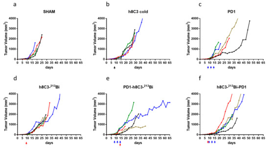 Evaluating the Combination of Radioimmunotherapy and Immunotherapy in a ...