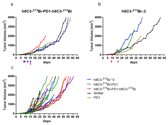 Evaluating the Combination of Radioimmunotherapy and Immunotherapy in a ...
