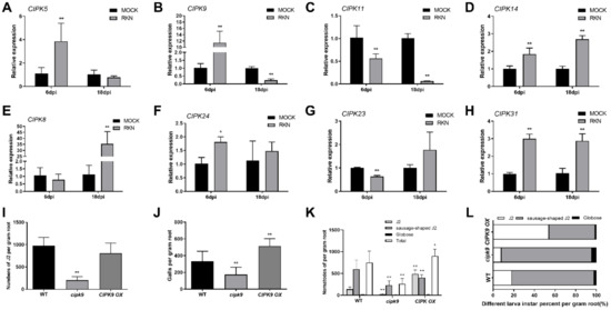 Transcriptome Analysis of Rice Roots in Response to Root-Knot Nematode ...