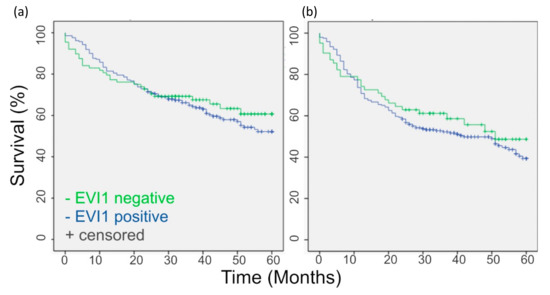EVI1 as a Marker for Lymph Node Metastasis in HNSCC