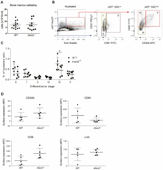The RNA-Binding Protein ATXN2 is Expressed during Megakaryopoiesis and ...