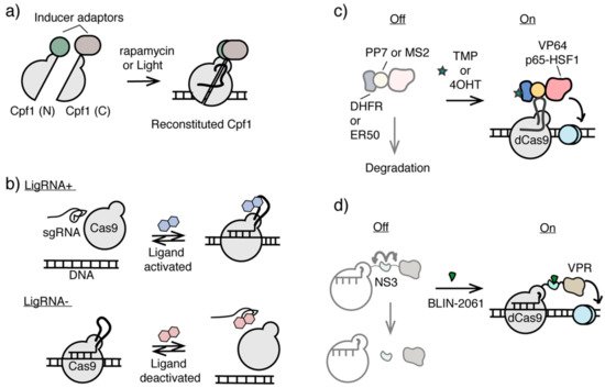 Chemical and Light Inducible Epigenome Editing