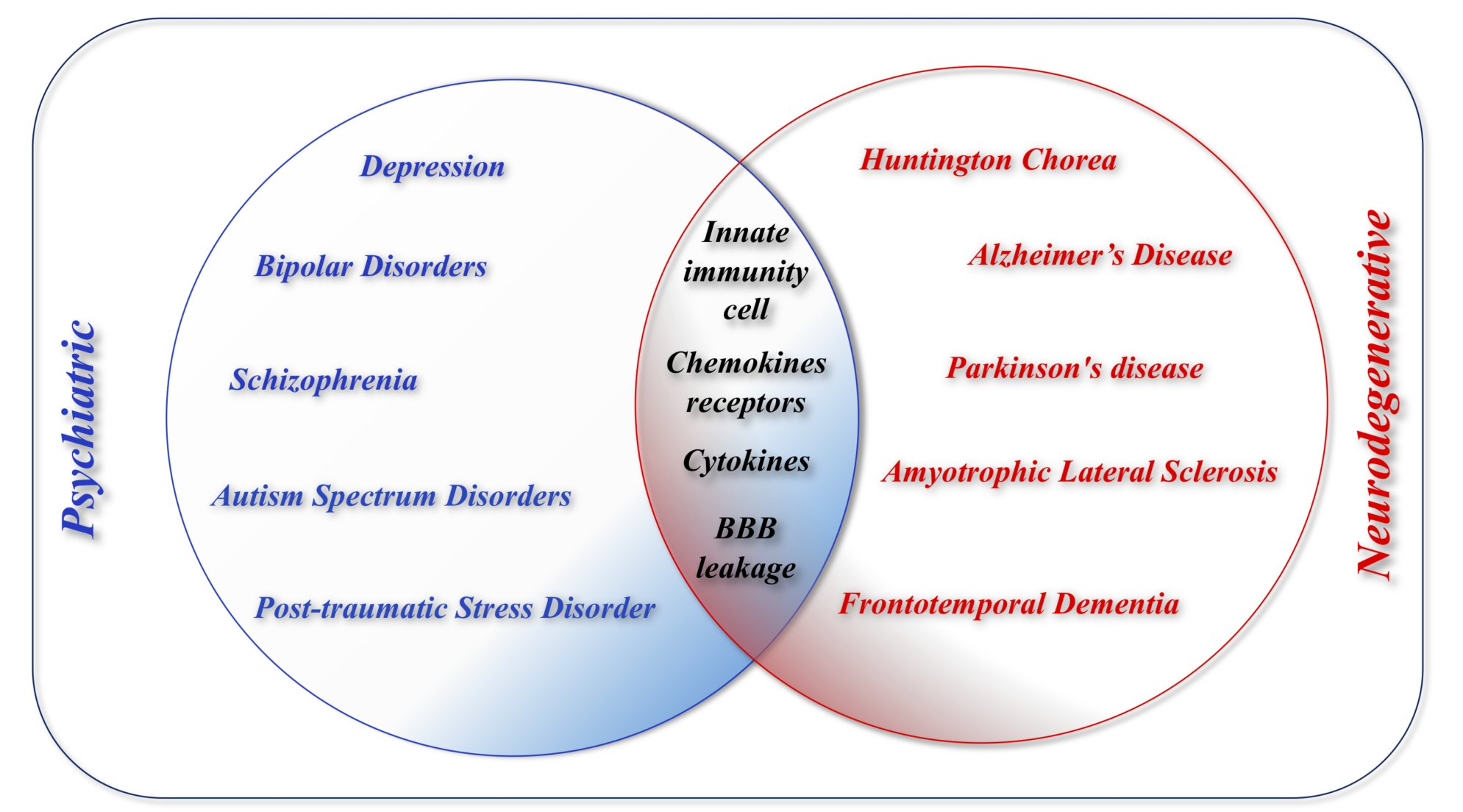 IJMS | Free Full-Text | Innate Immunity: A Common Denominator between ...