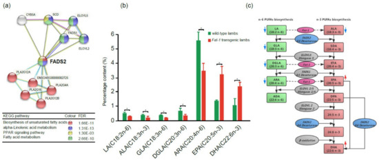 Comparative Transcriptome Analysis Provides Insights into the ...