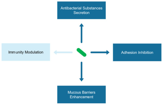 Using Probiotics as Supplementation for Helicobacter pylori Antibiotic ...