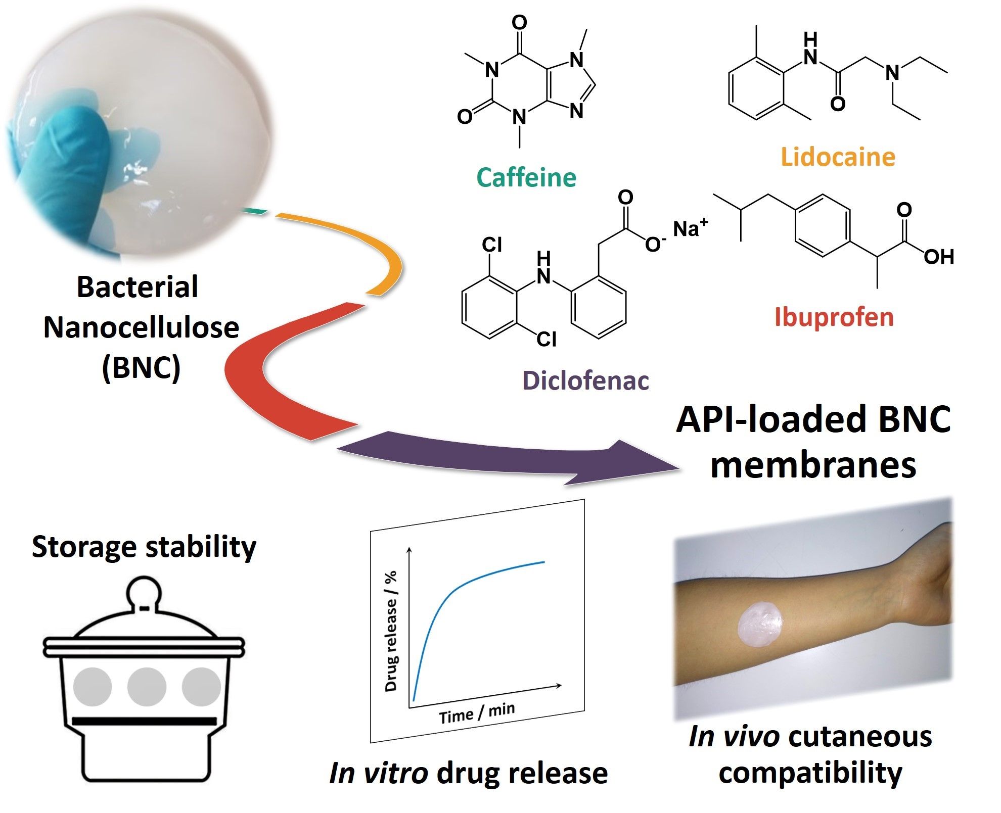 IJMS | Free Full-Text | Topical Drug Delivery Systems Based on ...