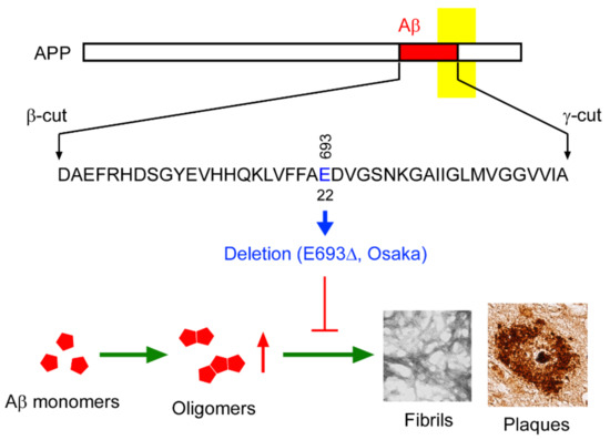 APP Osaka Mutation in Familial Alzheimer’s Disease—Its Discovery, Phenotypes, and Mechanism of ...