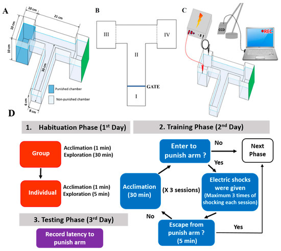 Development of a Modified Three-Day T-maze Protocol for Evaluating ...