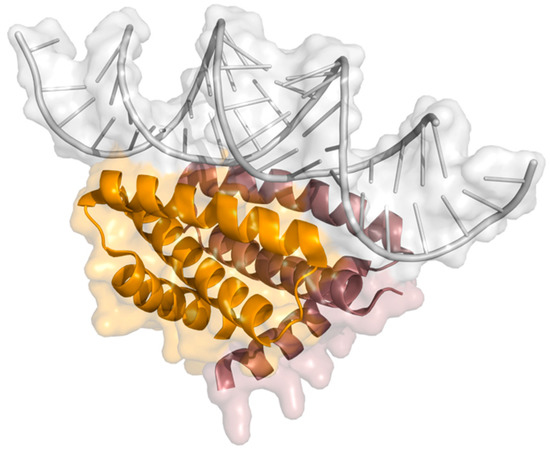 The Central Role of Non-Structural Protein 1 (NS1) in Influenza Biology ...