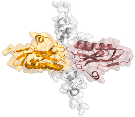 The Central Role of Non-Structural Protein 1 (NS1) in Influenza Biology ...
