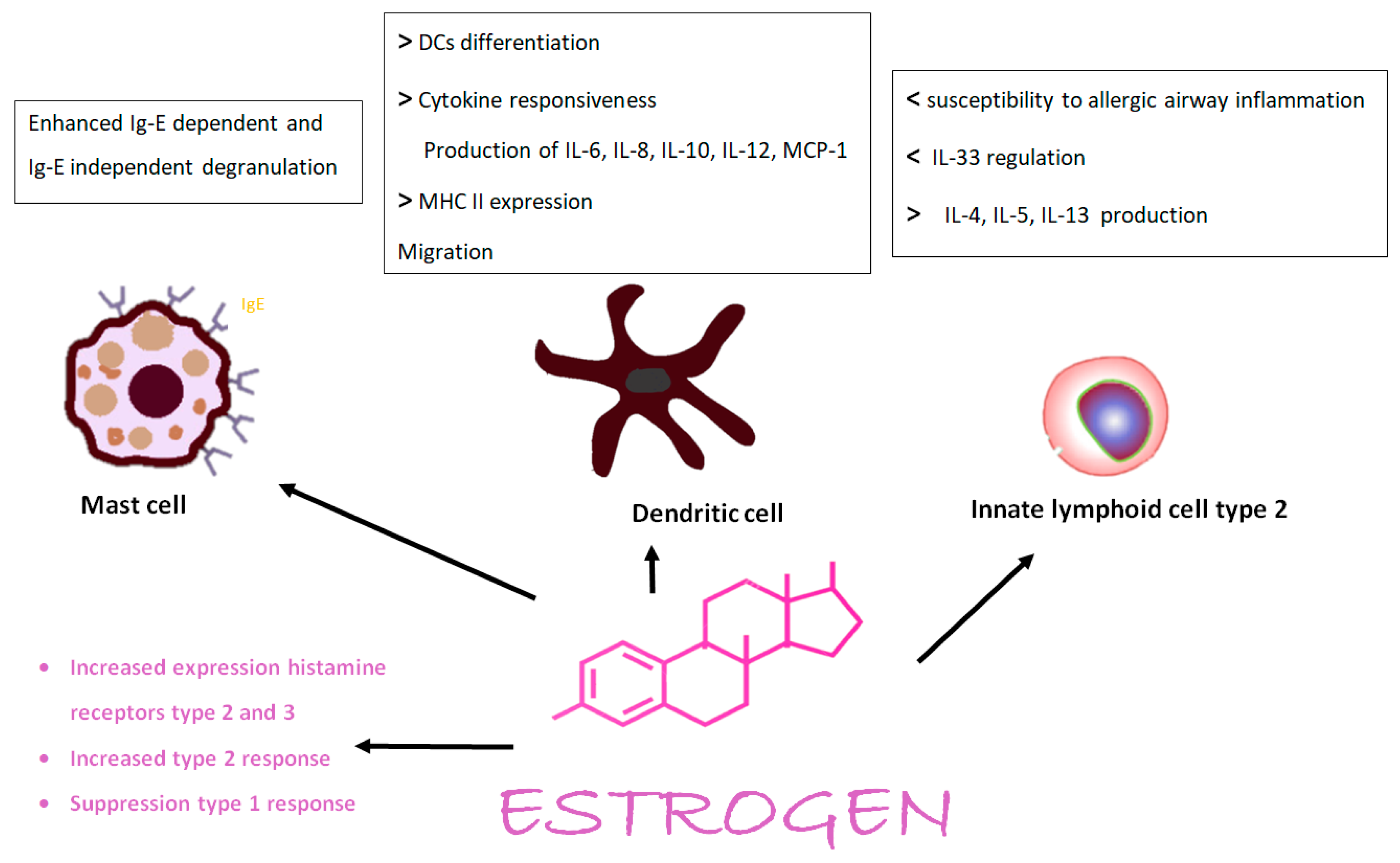 Sex And Gender Aspects For Patient Stratification In Allergy Prevention