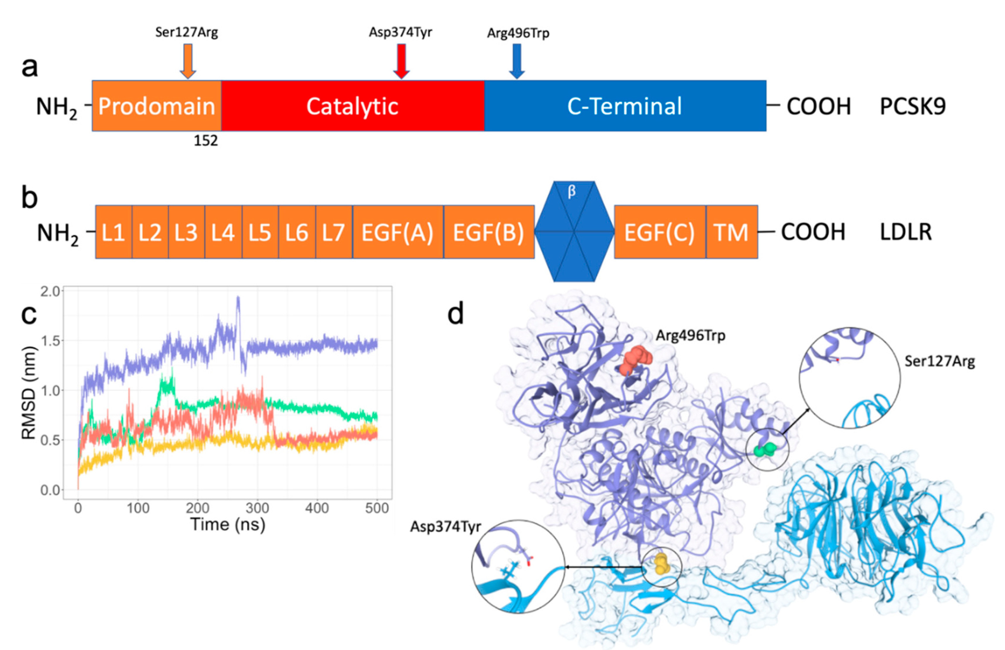 Ijms Free Full Text In Silico Insights Into Protein Protein