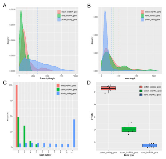 IJMS | Free Full-Text | Transcriptome Analysis Reveals Long Intergenic ...