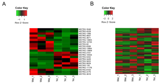 IJMS | Free Full-Text | Transcriptome Analysis Reveals Long Intergenic ...