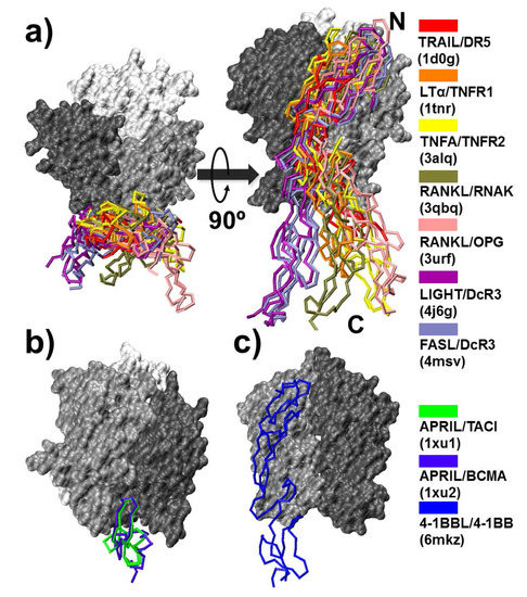 IJMS | Free Full-Text | A Systematic Test of Receptor Binding Kinetics ...