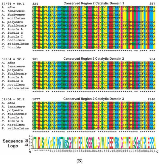 New Perspectives Related to the Bioluminescent System in ...