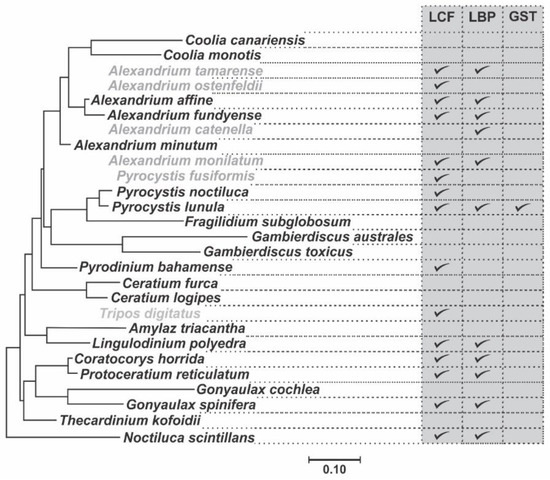 New Perspectives Related to the Bioluminescent System in ...
