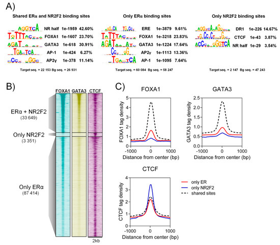 NR2F2 Orphan Nuclear Receptor is Involved in Estrogen Receptor Alpha ...