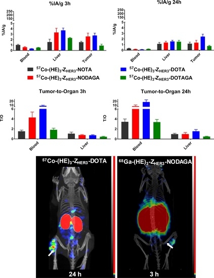 IJMS | Special Issue : Cancer Molecular Imaging