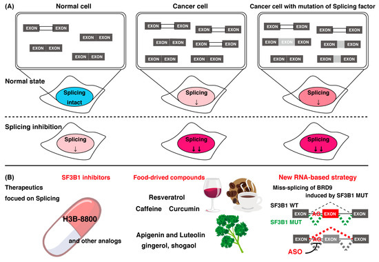 Regulating Divergent Transcriptomes through mRNA Splicing and Its ...