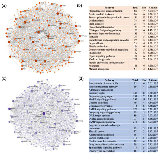 Transcriptomic and Network Analysis Identifies Shared and Unique ...