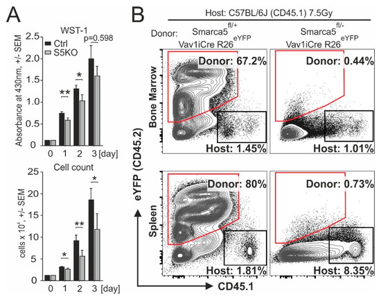 Loss of ISWI ATPase SMARCA5 (SNF2H) in Acute Myeloid Leukemia Cells ...