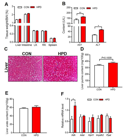 High-Protein Diet Induces Hyperuricemia in a New Animal Model for ...
