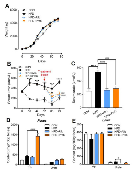 High-Protein Diet Induces Hyperuricemia in a New Animal Model for ...