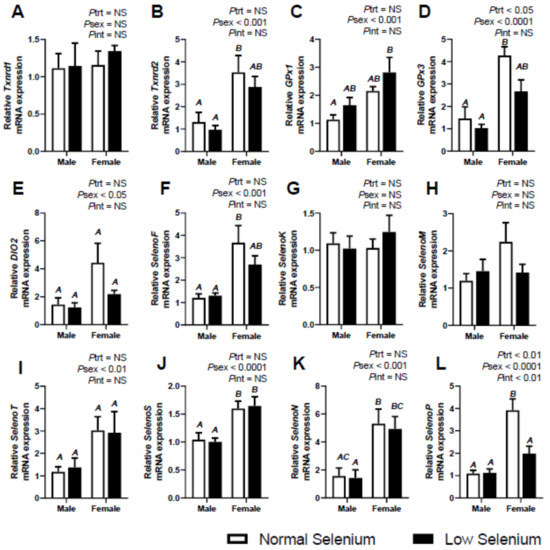 Analysis of Selenoprotein Expression in Response to Dietary Selenium ...