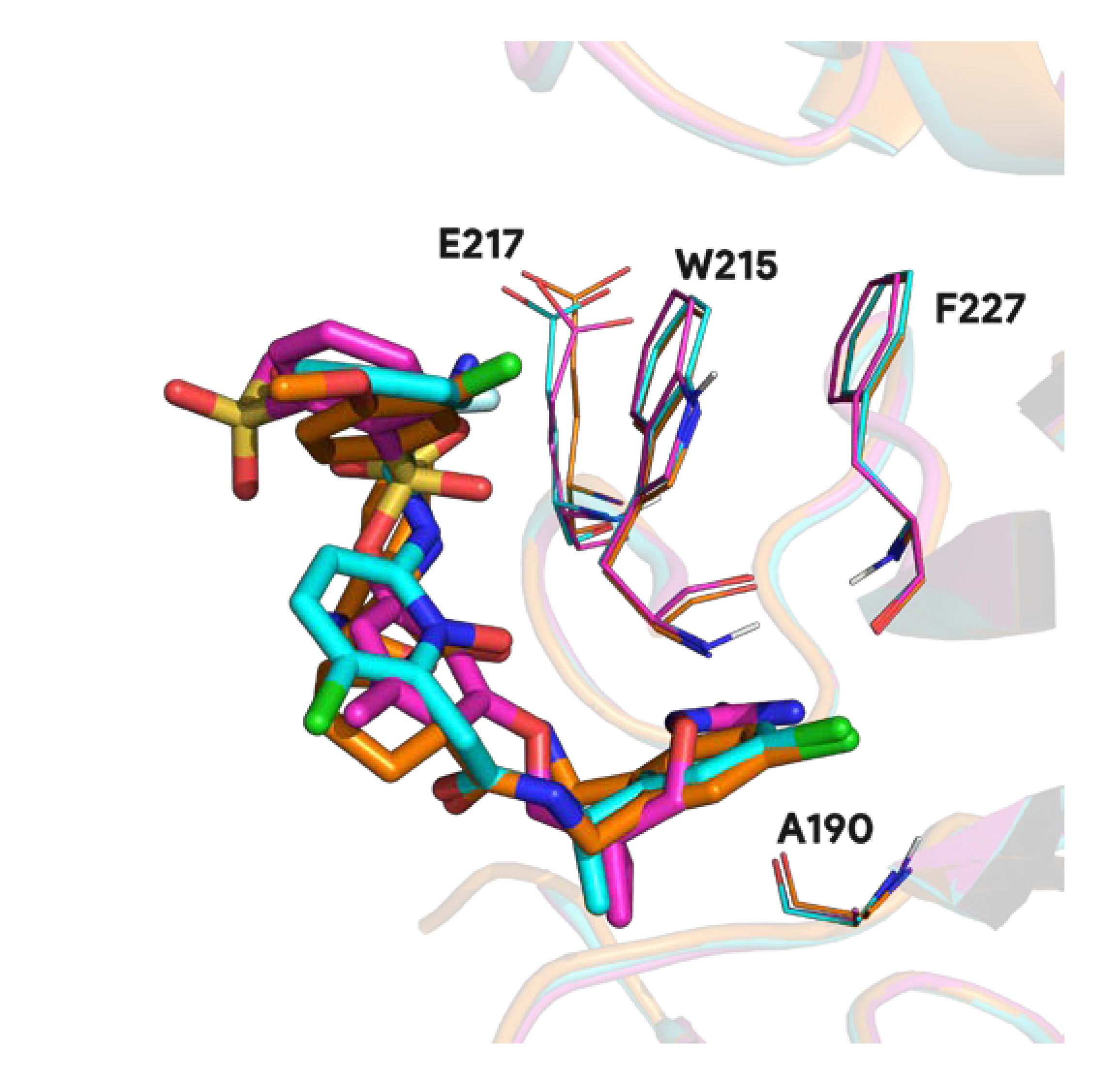 Ijms Free Full Text Accurate Representation Of Protein Ligand