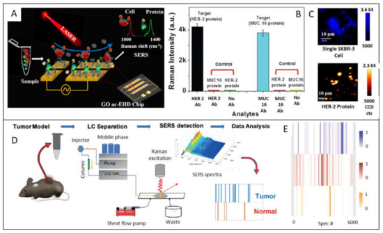 Cancer Diagnosis through SERS and Other Related Techniques