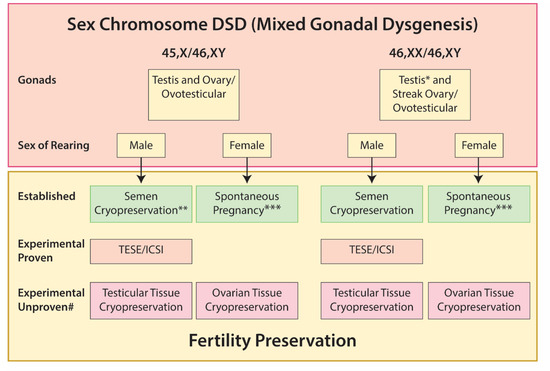 Ijms Free Full Text Disorders Of Sex Development—novel Regulators