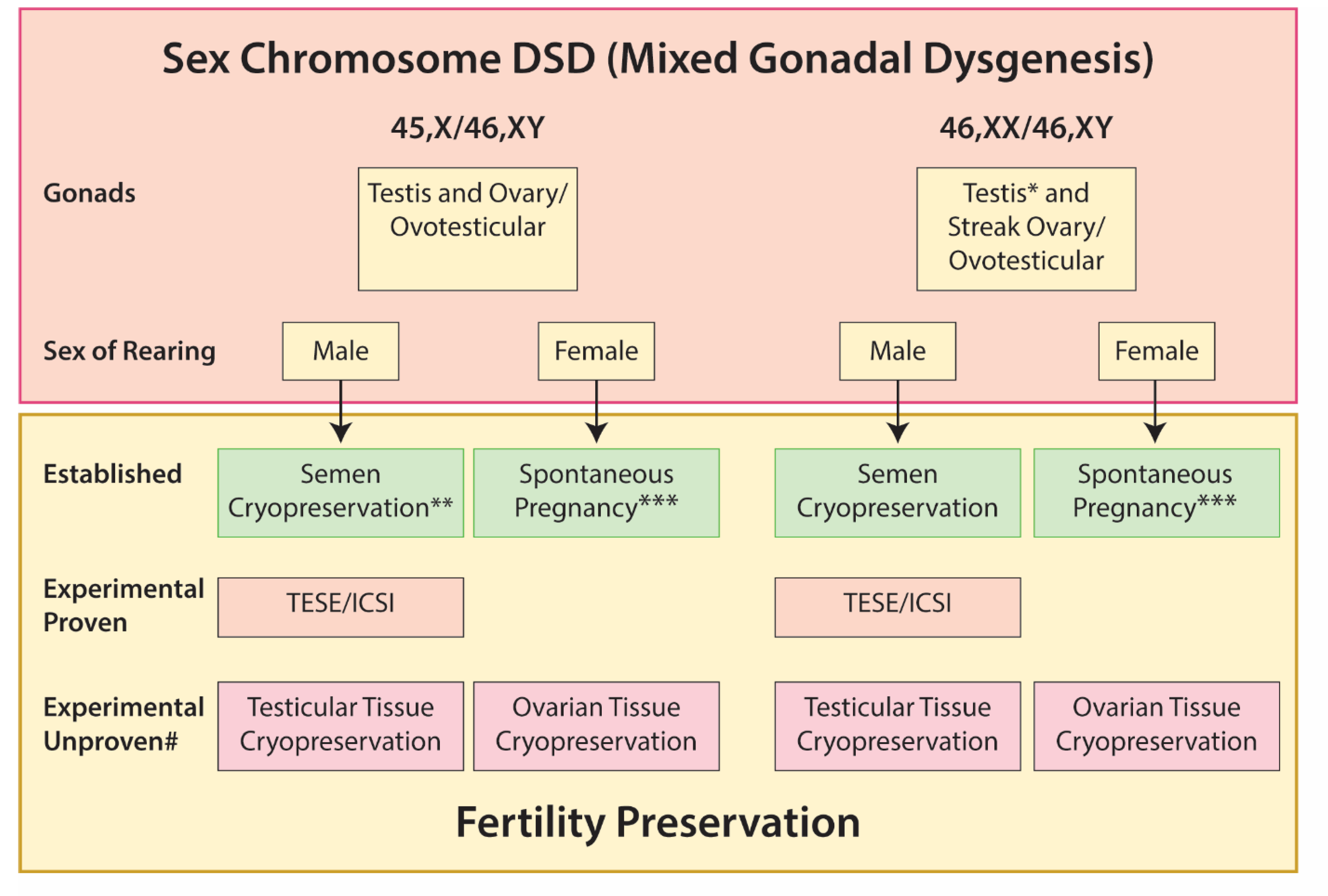 Ijms Free Full Text Disorders Of Sex Development—novel Regulators