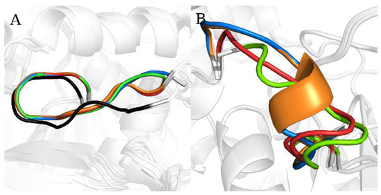 Simple Selection Procedure to Distinguish between Static and Flexible Loops