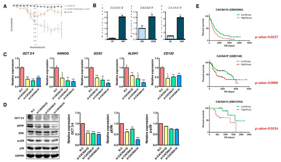 Calcium Channels as Novel Therapeutic Targets for Ovarian Cancer Stem Cells