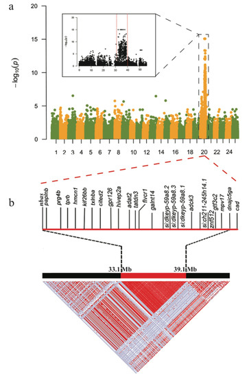 IJMS | Special Issue : Exploring the Genotype–Phenotype Map: Regulatory ...