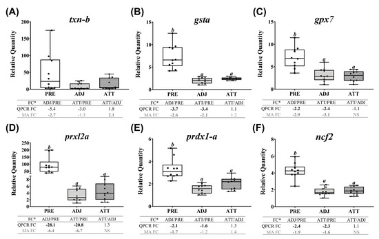 IJMS | Free Full-Text | Transcriptomic Profiling in Fins of Atlantic ...