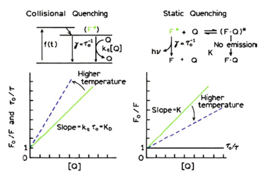Molecular Functionality of Plant Proteins from Low- to High-Solid ...