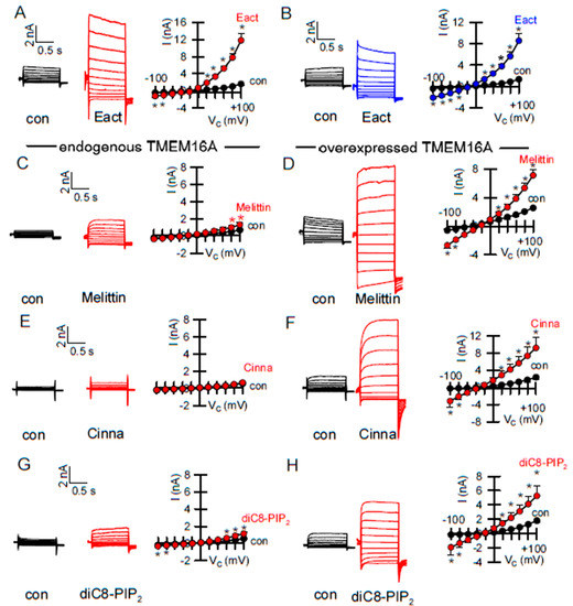 Pharmacological Inhibition and Activation of the Ca2+ Activated Cl− ...