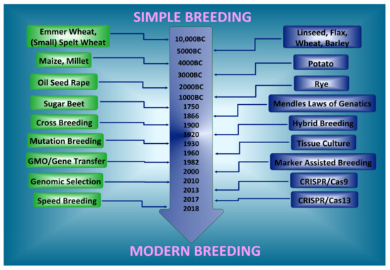 Conventional and Molecular Techniques from Simple Breeding to Speed ...