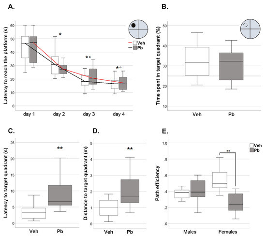 Ijms Free Full Text Sex Dependent Effects Of Developmental Lead