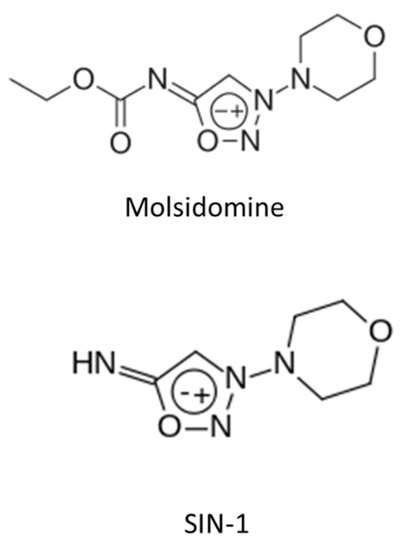 Exogenous NO Therapy for the Treatment and Prevention of Atherosclerosis