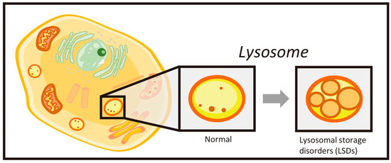 Biomarkers for Lysosomal Storage Disorders with an Emphasis on Mass ...