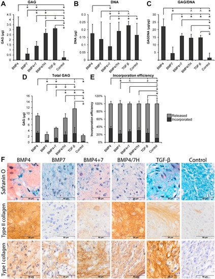 IJMS | Special Issue : Intervertebral Disc Disease: From Pathophysiology to Novel Therapies