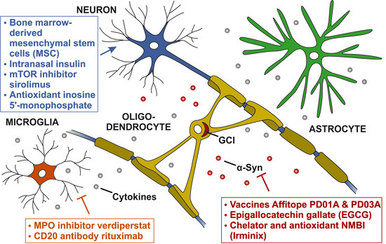 IJMS | Free Full-Text | Current Symptomatic and Disease-Modifying ...