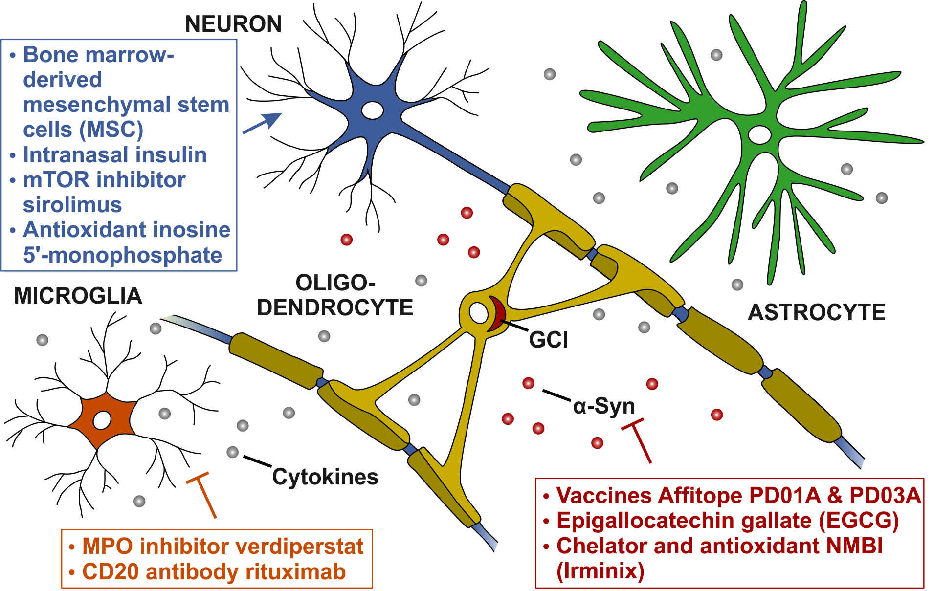 IJMS | Free Full-Text | Current Symptomatic and Disease-Modifying ...