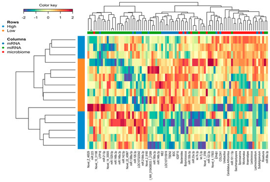 IJMS | Special Issue : Exploring the Genotype–Phenotype Map: Regulatory ...