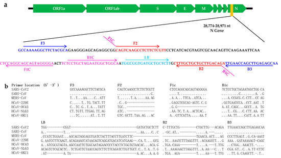 A Novel Reverse Transcription Loop-Mediated Isothermal Amplification ...