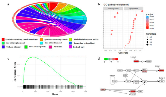 IJMS | Free Full-Text | Bioinformatics Methods for Mass Spectrometry-Based Proteomics Data Analysis
